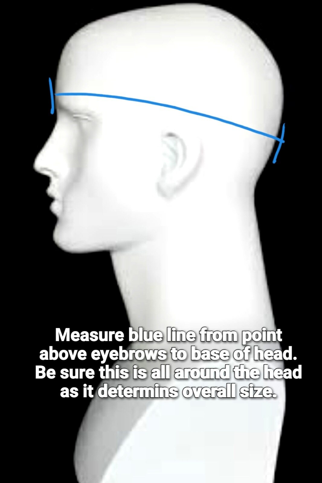 Resin Wolf Canine Base Realistic Fursuit Blank Head Mask - Etsy