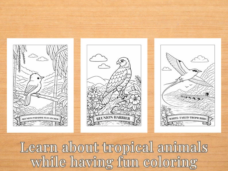 Tropical Animals Coloring Pages Printable–kids Coloring Book Pdf–ocean ...