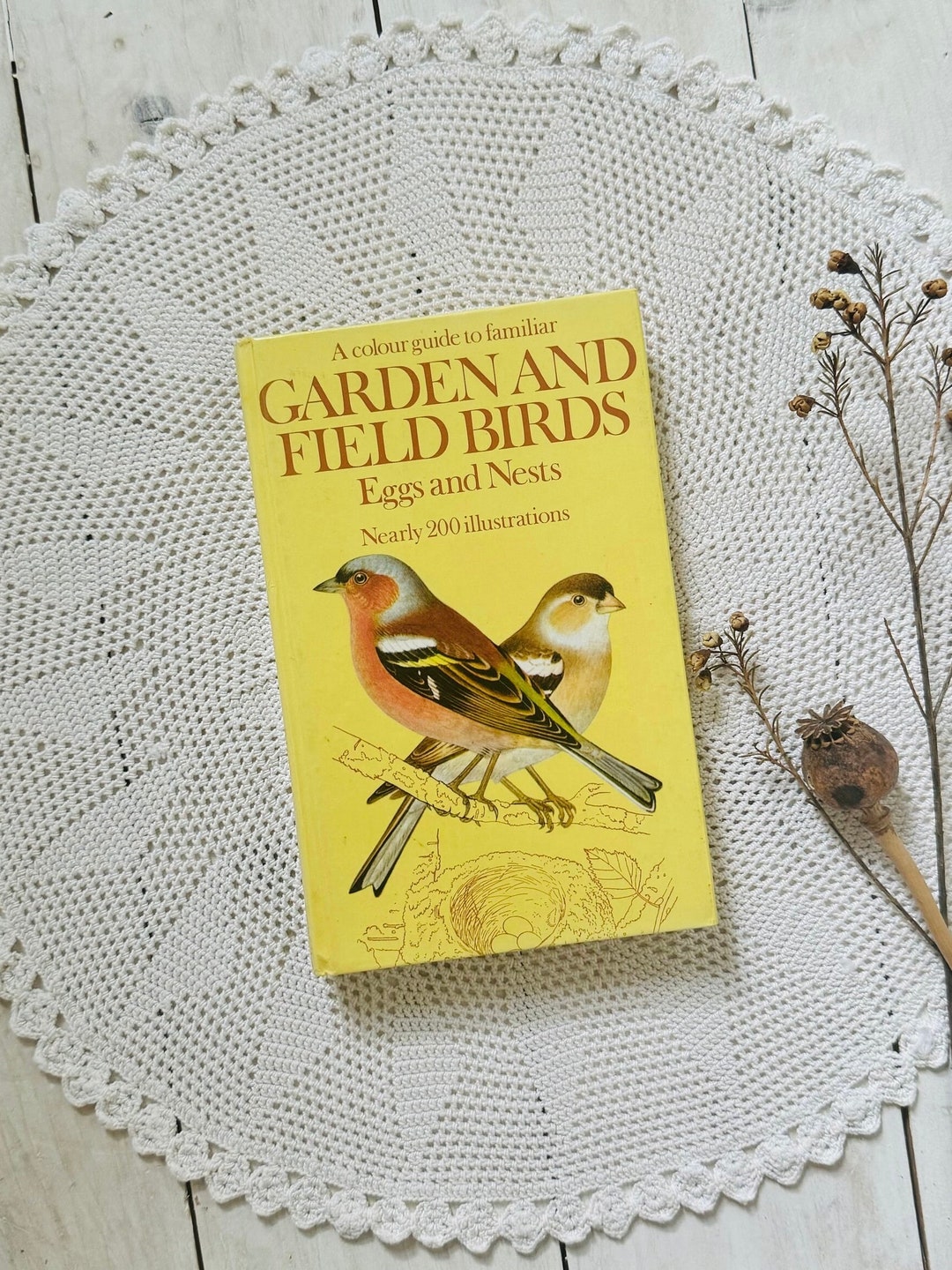 Vintage Book Garden and Field Birds Eggs and Nests Illustrated Guide ...
