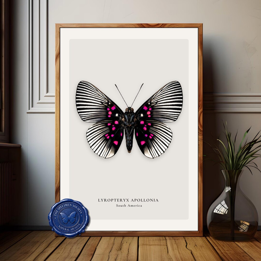 Butterfly Wall Art, Butterfly Poster, Insect Print, Natural History ...