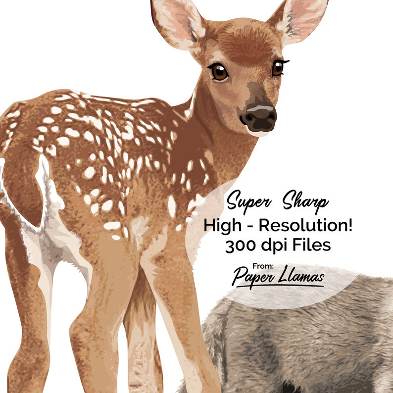 Woodland Nursery Art PRINTABLE Baby Animal Poster Forest - Etsy