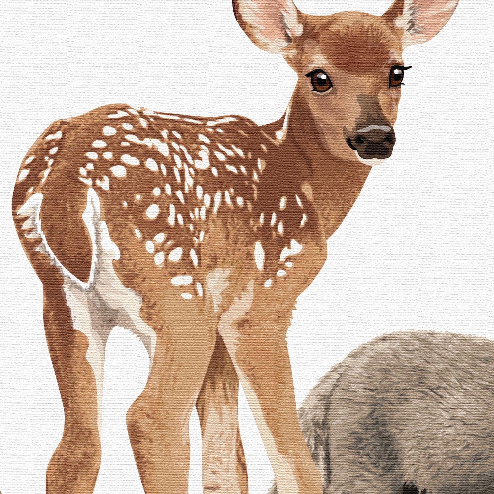 Baby Forest Animal Art, Children's Explorer Art Adventure Wolf, Bear ...