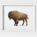 Buffalo PRINTABLE Art Woodland Animal Nursery Wall Artwork instant ...