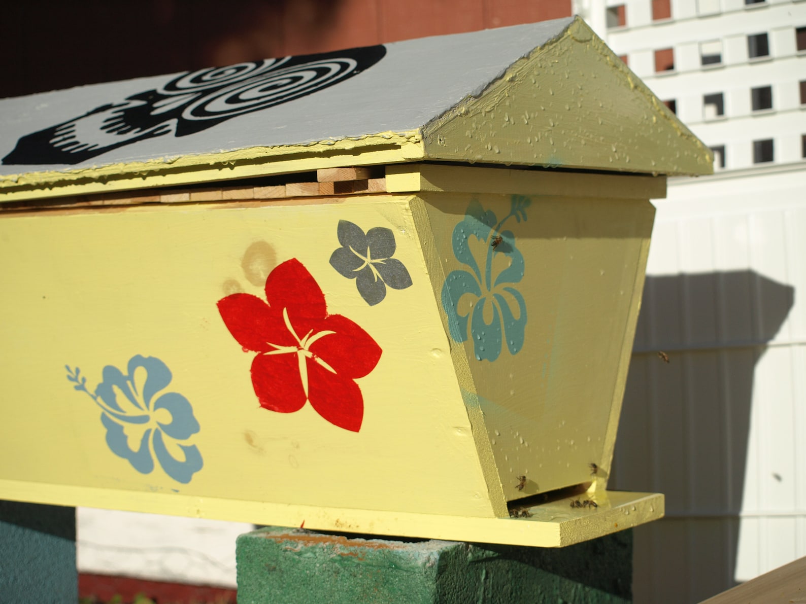 Bee Hive Top Bar With Roof 20 Top Bars Backyard Bee Keeping | Etsy