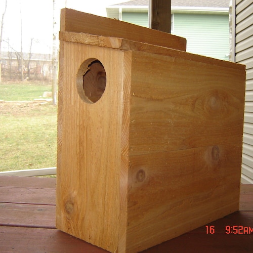 Cedar Squirrel Nesting Box/ Squirrel House. Handmade in the - Etsy