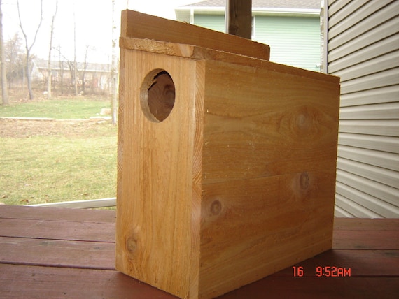 Cedar Squirrel Nesting Box/ Squirrel House. Handmade in the - Etsy
