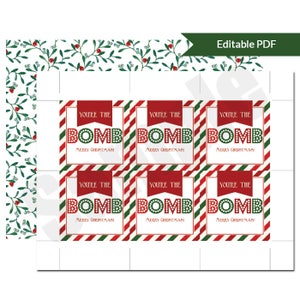 You're the Bomb Bath Bomb Christmas Favor Gift Tag Editable PDF ...