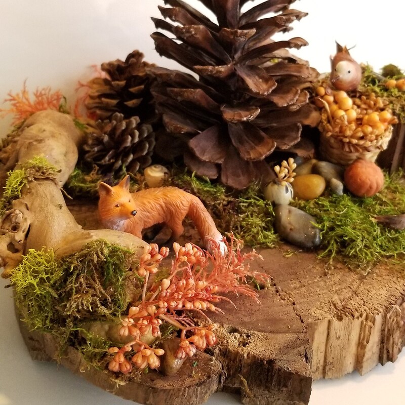 Nature Diorama - Etsy