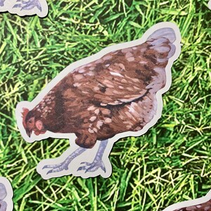 Chicken Die Cut Sticker | English Study, Journal, Laptop, Ipad, Bottle ...