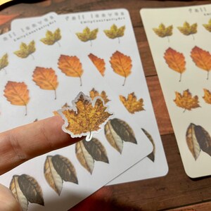Autumn Leaves Sticker Sheet | English Study, Journal, Laptop, Ipad ...