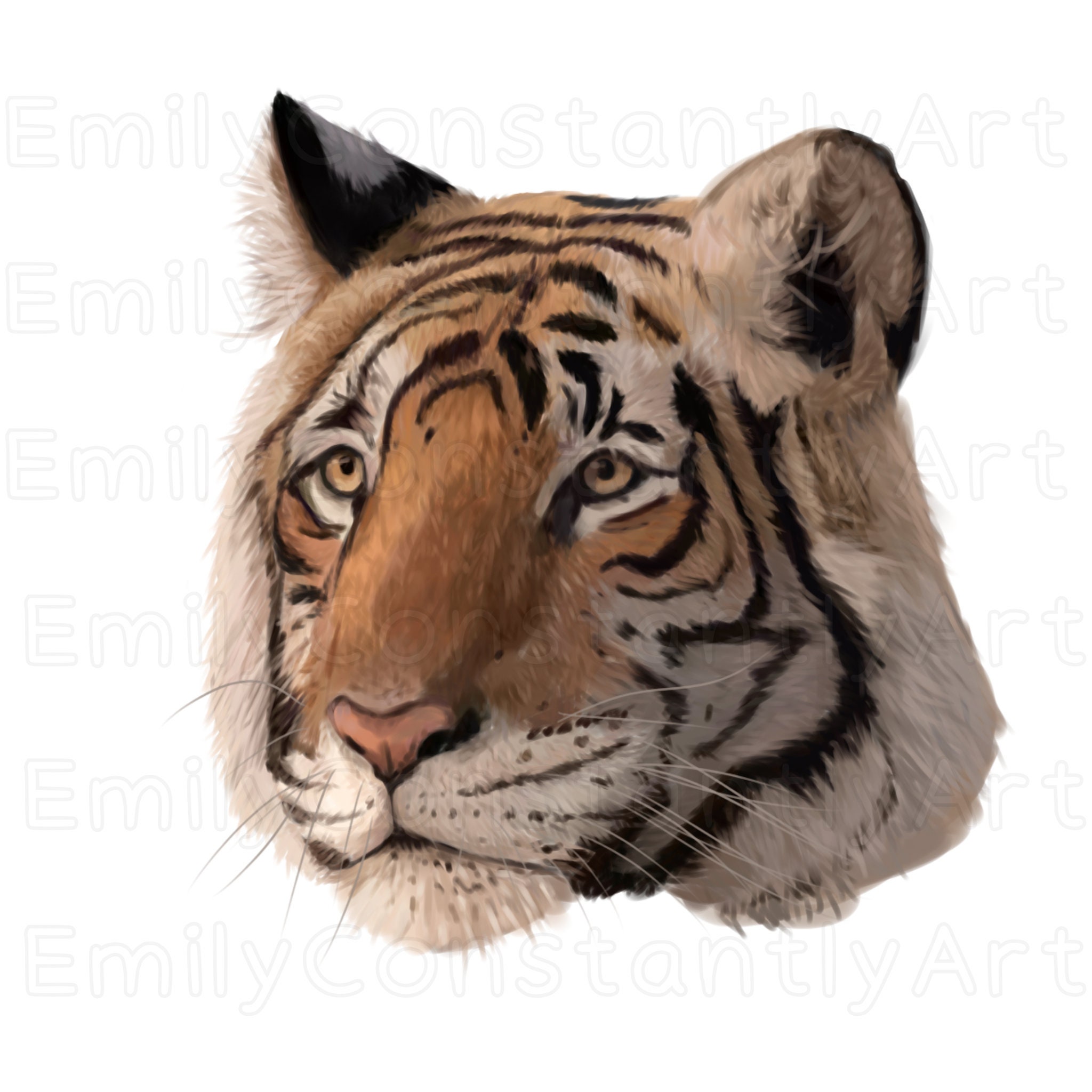 Tiger Die Cut Sticker English Study, Journal, Laptop, Ipad, Bottle ...
