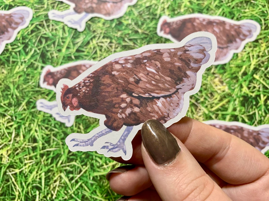 Chicken Die Cut Sticker | English Study, Journal, Laptop, Ipad, Bottle ...