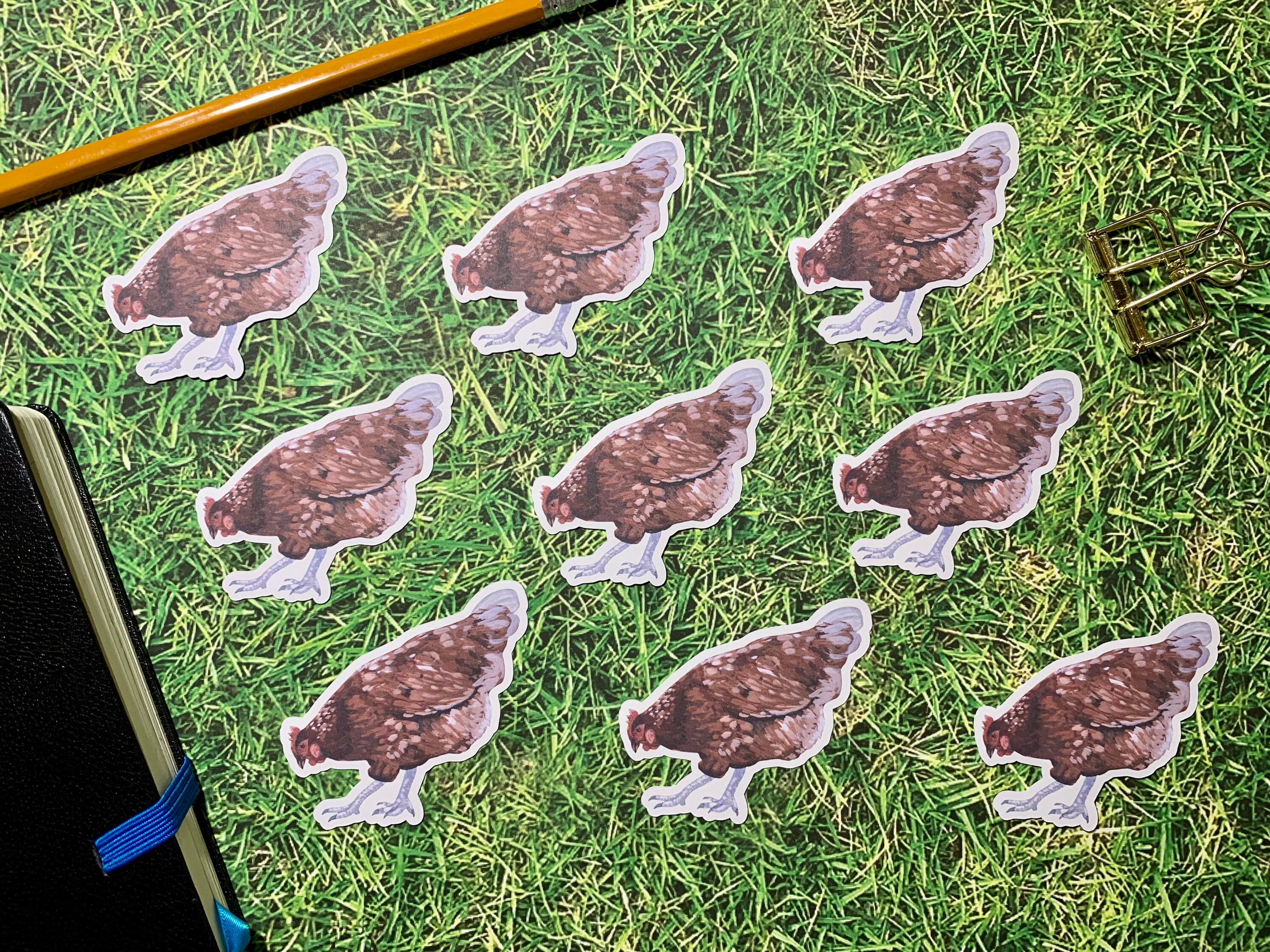 Chicken Die Cut Sticker | English Study, Journal, Laptop, Ipad, Bottle ...