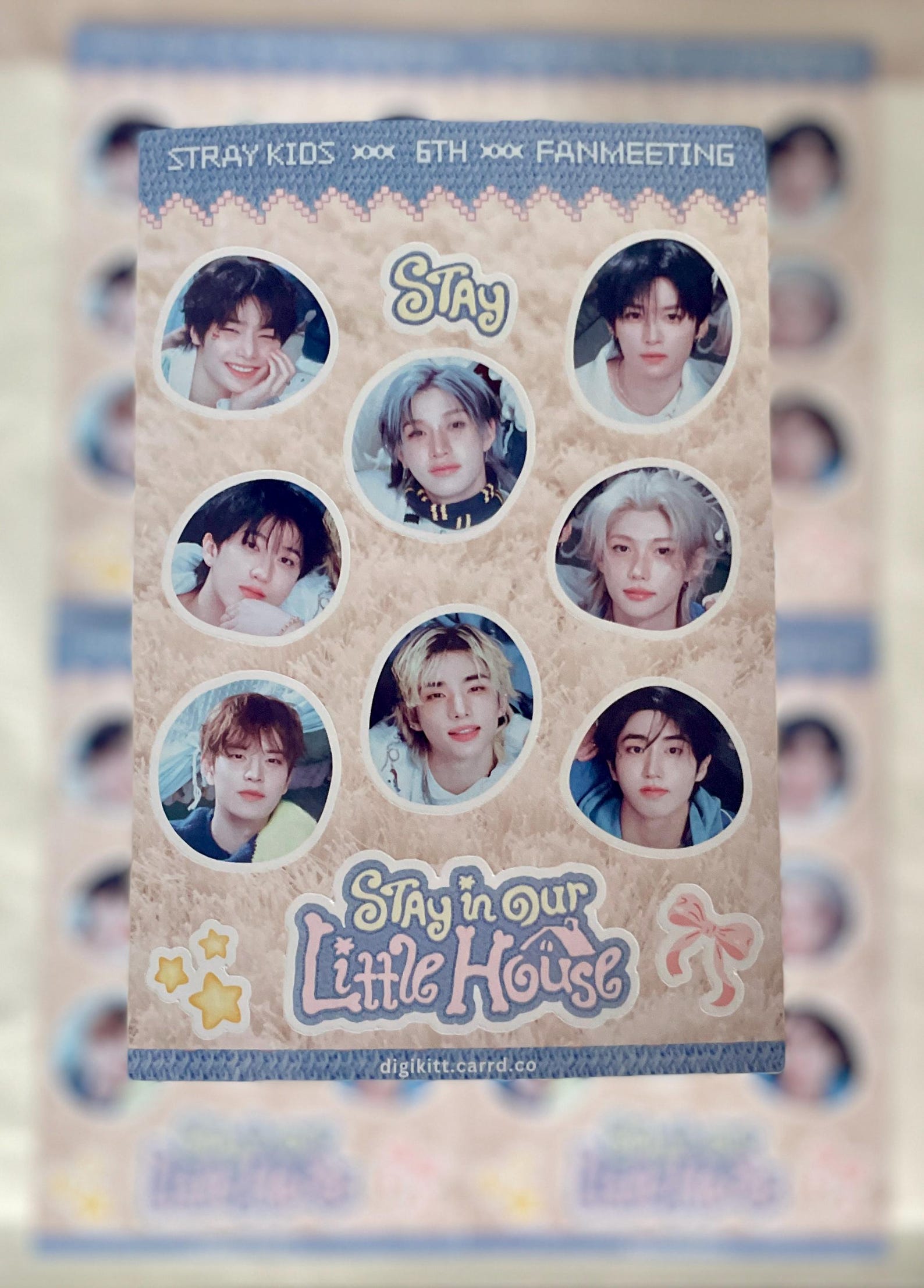 Stray Kids SKZ 6th Fan Meeting Sticker Set - Etsy