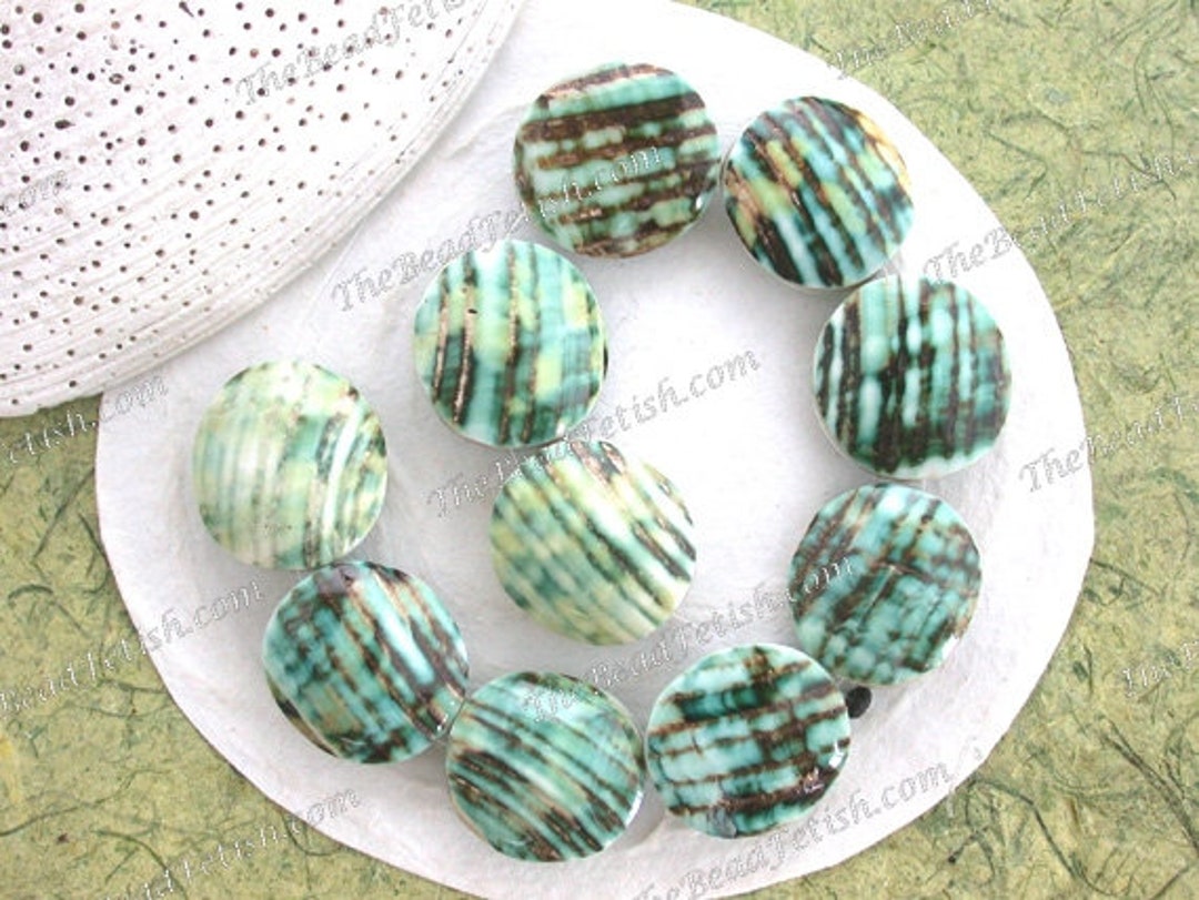 10 Double Sided Shell Beads, White Green Blue Aqua Brown Black Shell ...