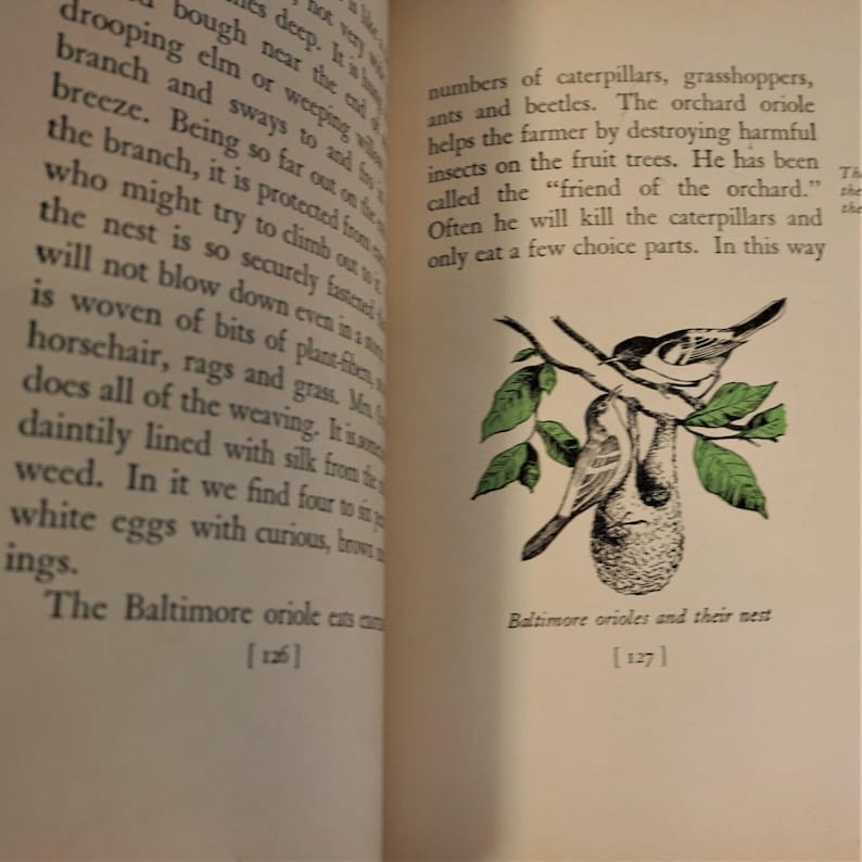 Ways of the Wild Folk Book by Clyde Fisher 1935 Hardcover Nature ...