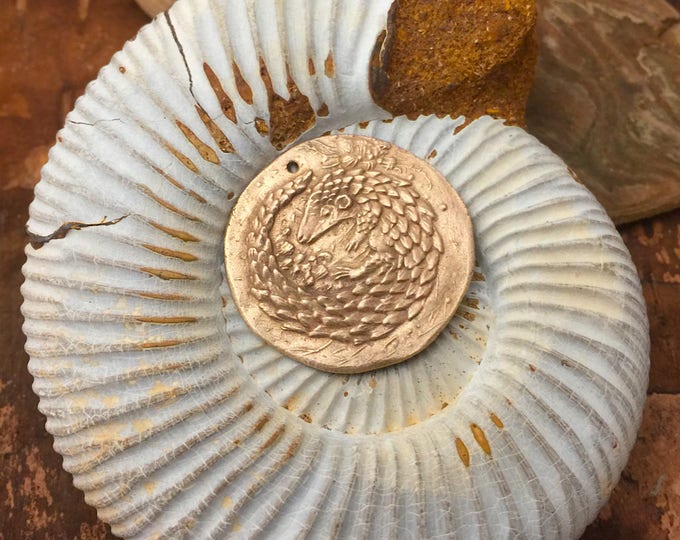 Bronze Pangolin Coin - Etsy