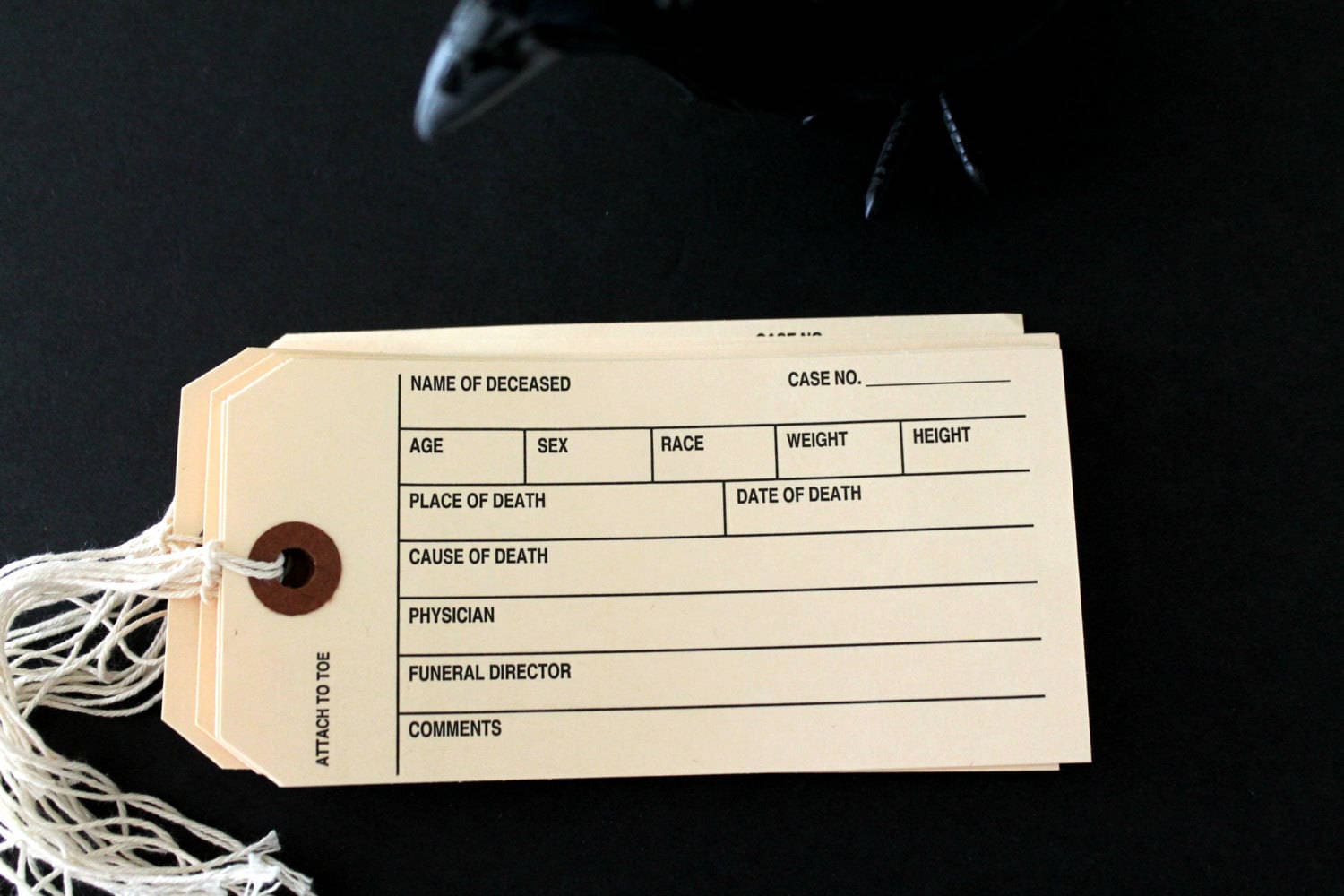 Toe tags lot of 10 coroner & funeral body identification tags | Etsy