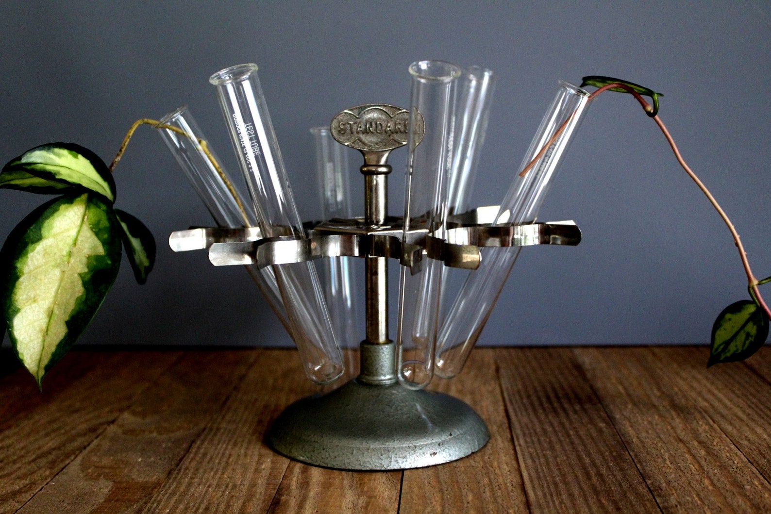 Vintage Old Standard Rubber Stamp Revolving Carousel and 6 - Etsy