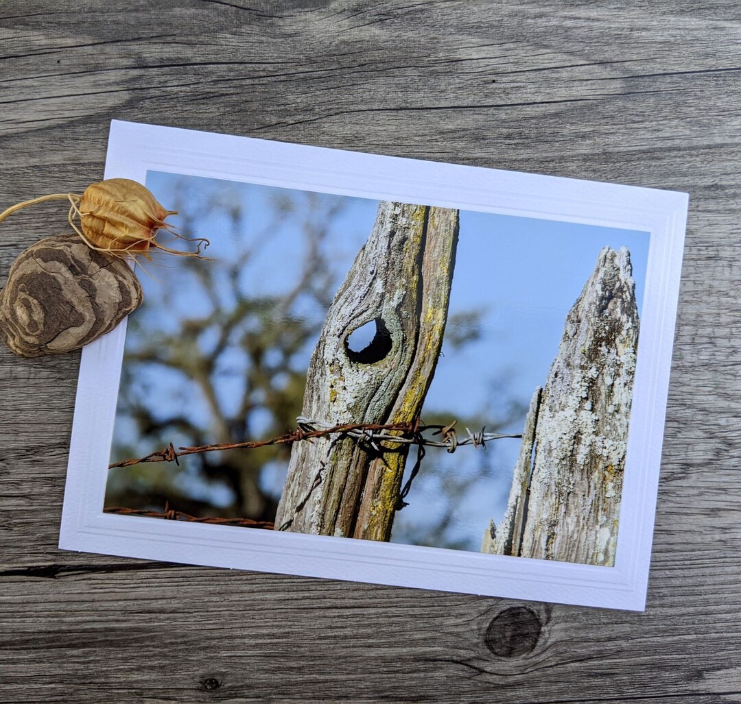 Weathered Fence Post Photo Greeting Card - Old Fence Post With Big Hole ...