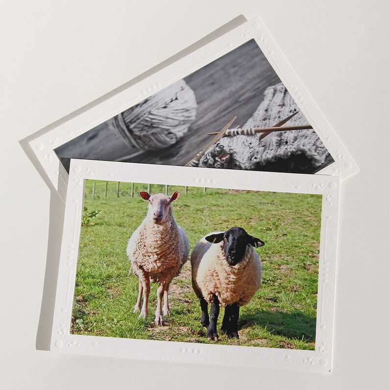 Two Sheep Photo Greeting Card Fine Art Photography Rural - Etsy