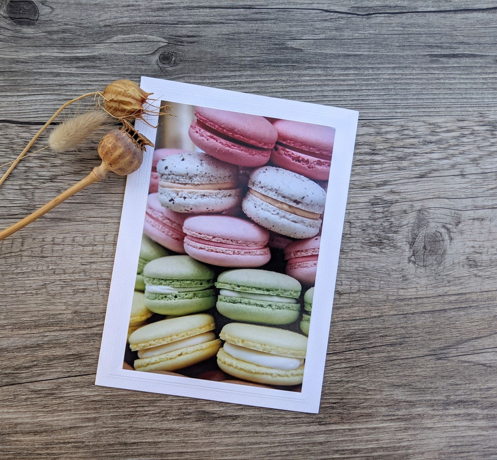 French Macaroons Photo Greeting Card Food Photograph of - Etsy