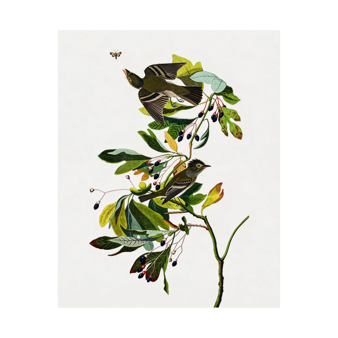 Vintage Botanical Birds Matte Poster | Vertical Nature Print ...