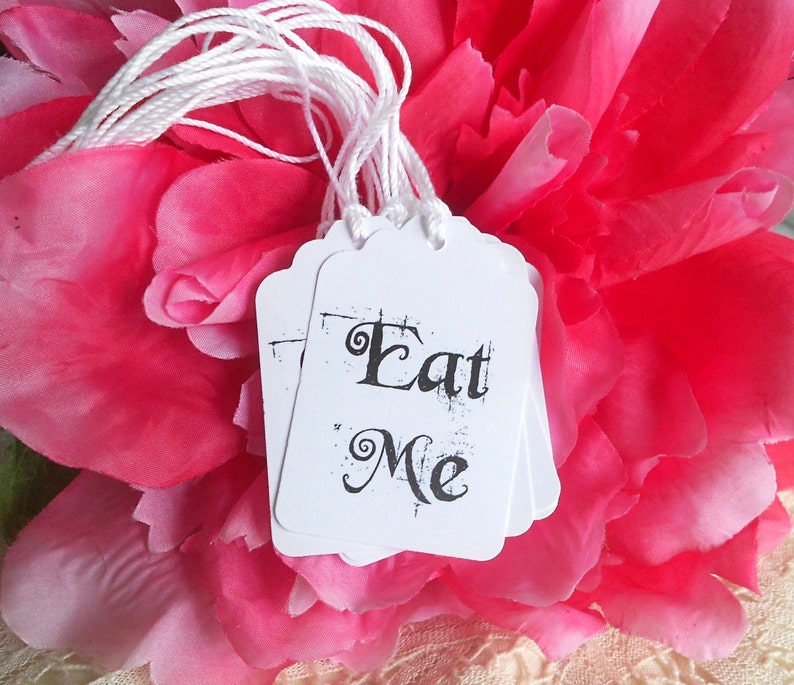 Alice in Wonderland Eat Me Tags for Mad Tea Party Birthday or - Etsy