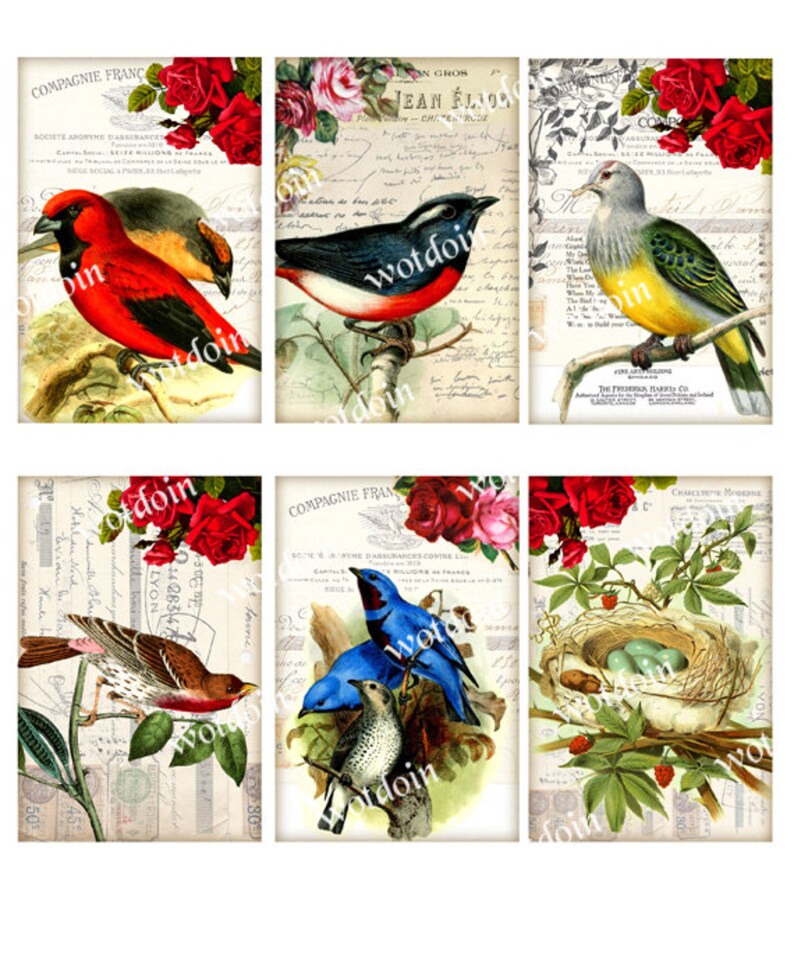 Bird Tags or Journal Spots Blue Birds Nest Eggs Roses Gift - Etsy