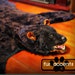 Bear Skin Rug With Head / Hand Made Using 100% Animal Friendly Faux Fur ...