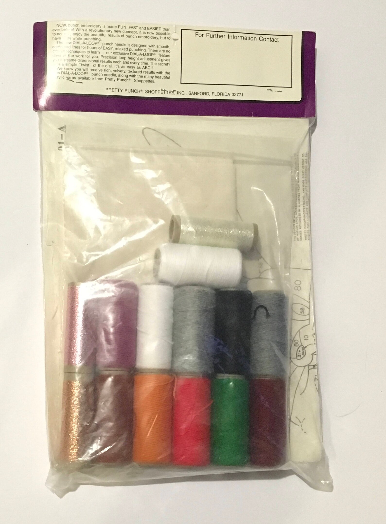 Pretty Punch Embroidery Kit Leisure Craft Looney Tunes Bugs | Etsy