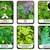 PRINTABLE: Pacific Northwest Native Plant Identification Cards - Etsy