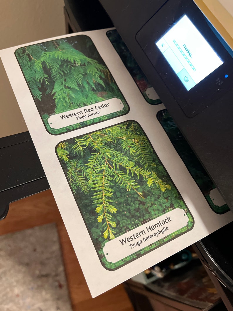 PRINTABLE: Pacific Northwest Native Plant Identification Cards - Etsy
