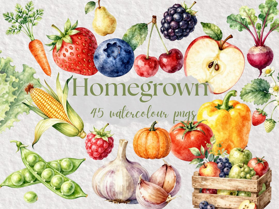 Fruit & Vegetable Watercolor Clipart Bundle, Garden Harvest Clip Art ...