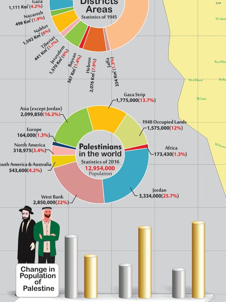 Palestine Map Poster – Digital Download – Educational Wall Art ...