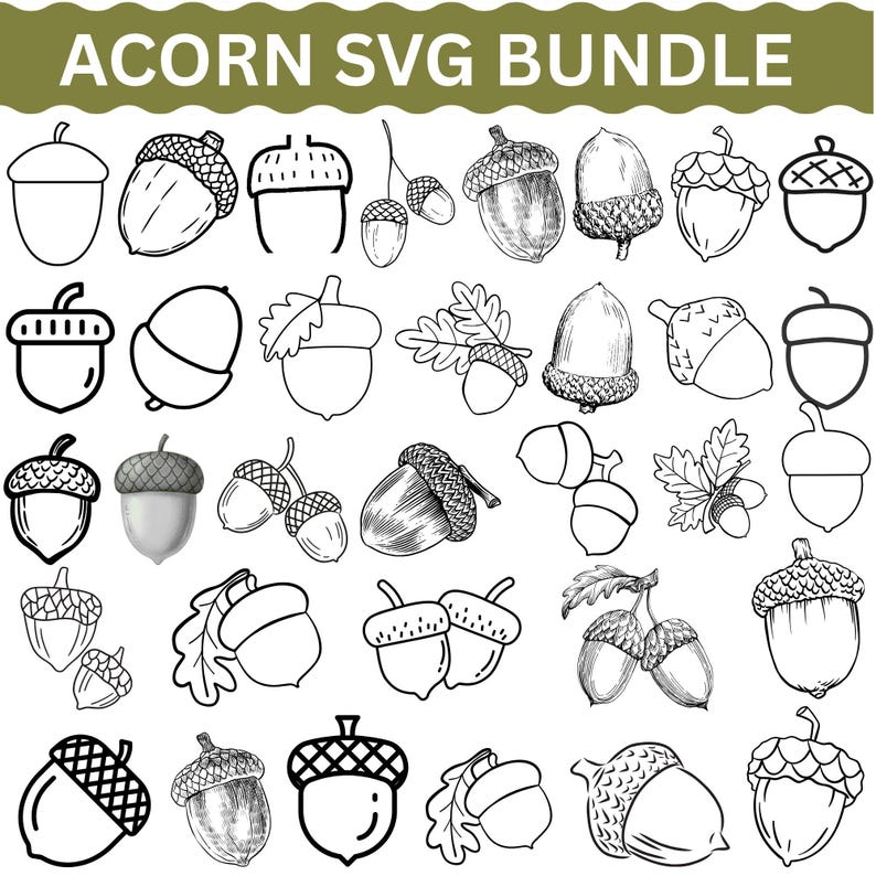 Acorn Clipart: SVG, PNG, Silhouette Vector Art (digital Download) - Etsy