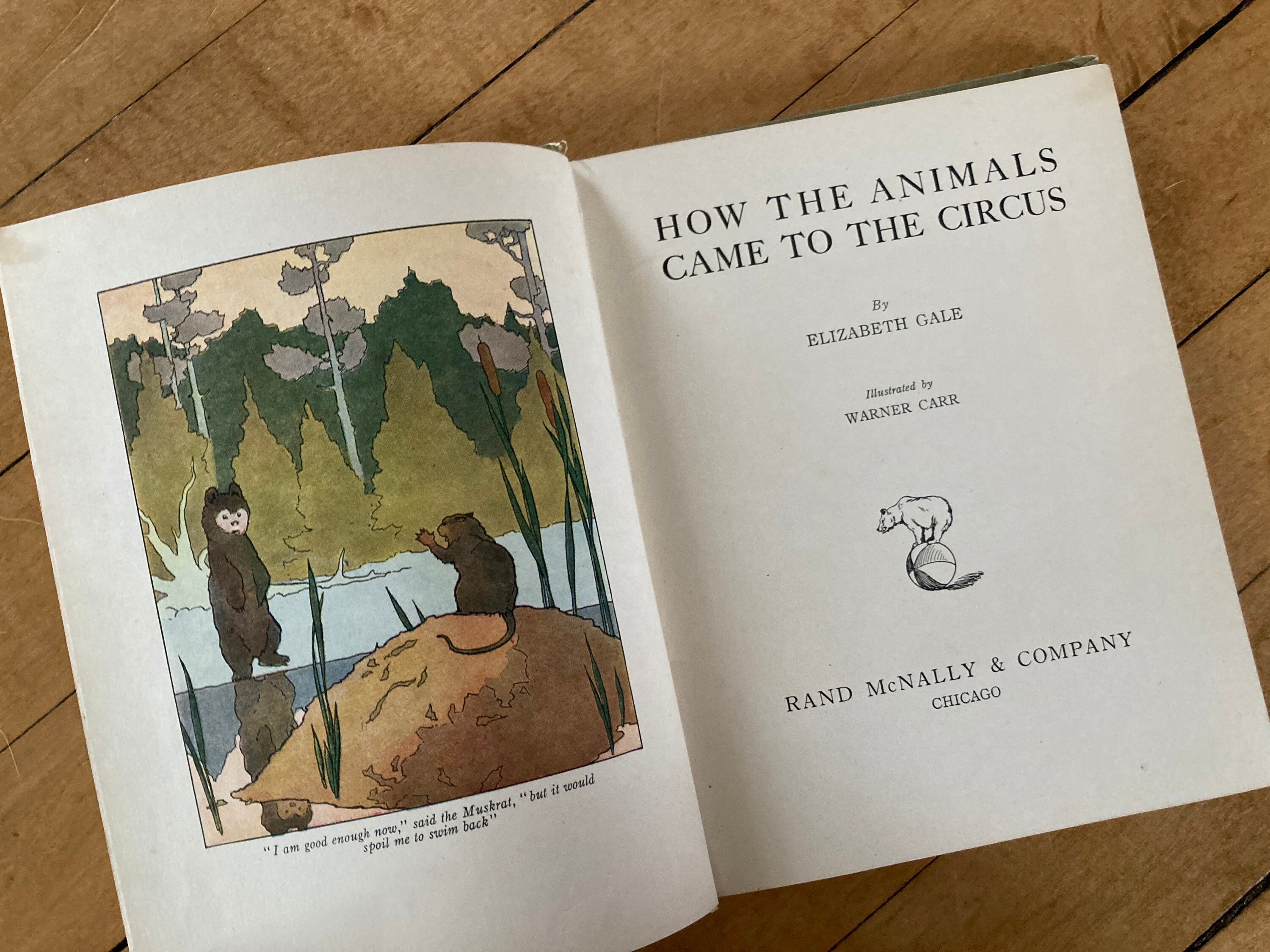 Collectible First Edition Children's Book How the Animals - Etsy