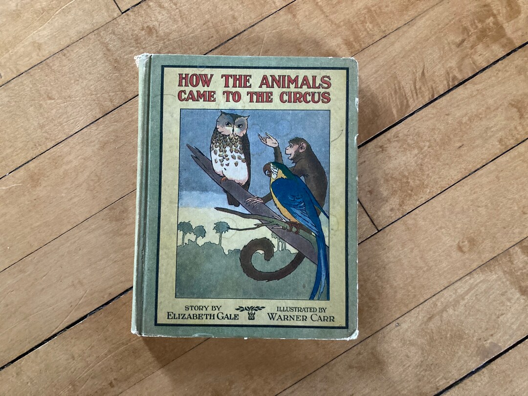 Collectible First Edition Children's Book- How the Animals Came to the ...