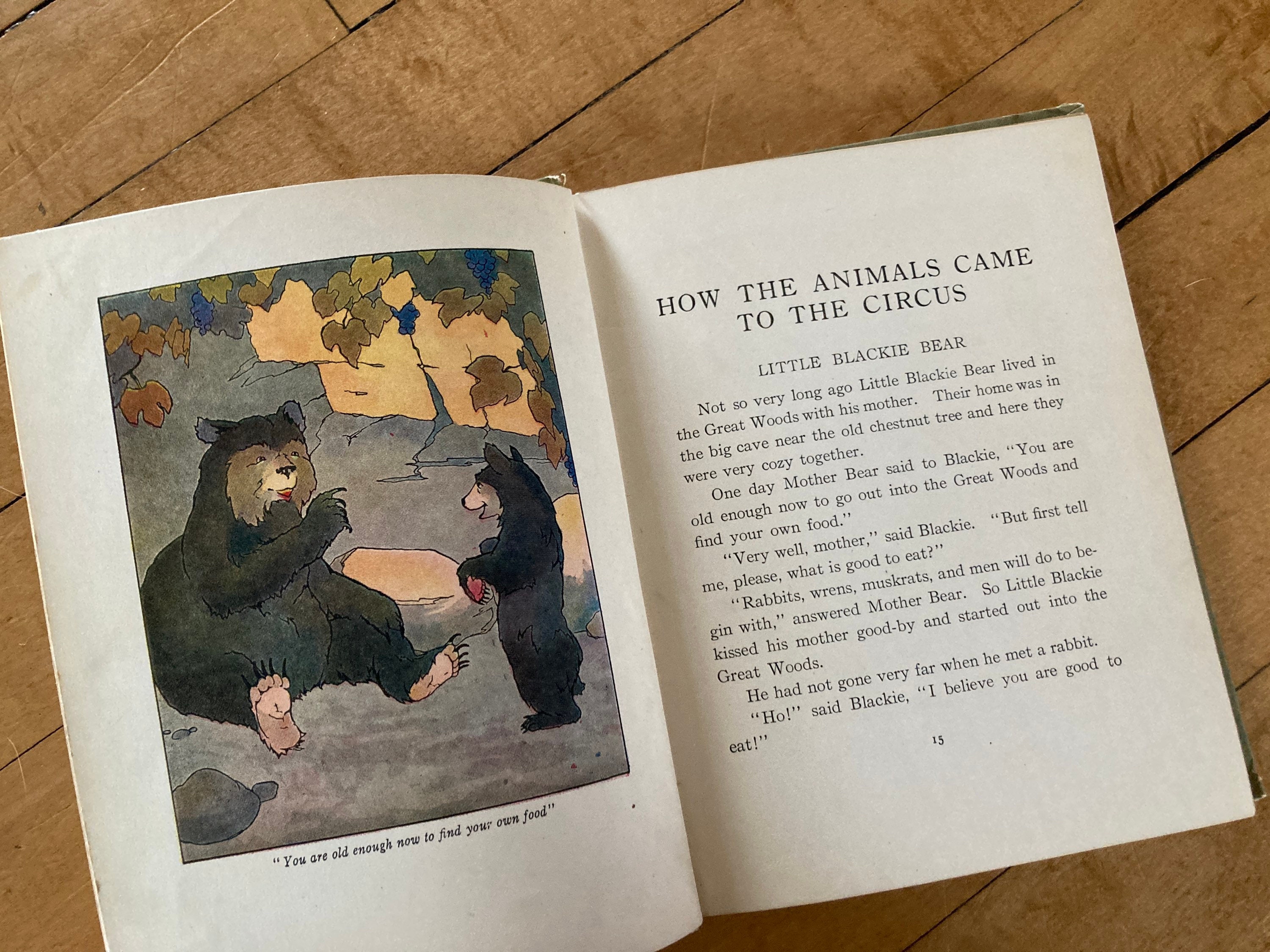 Collectible First Edition Children's Book How the Animals - Etsy