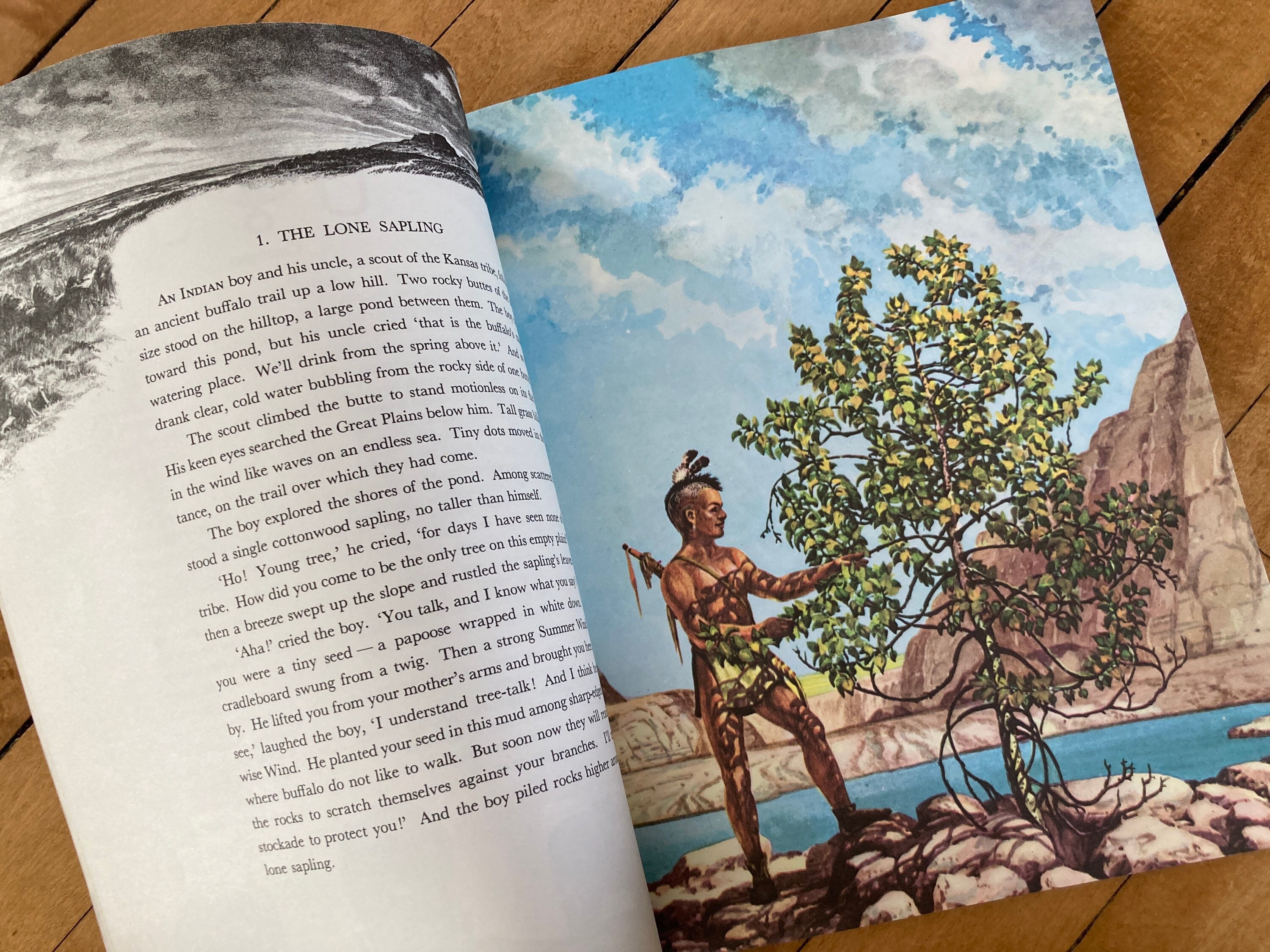 Vintage Children's Book Tree in the Trail by Holling - Etsy