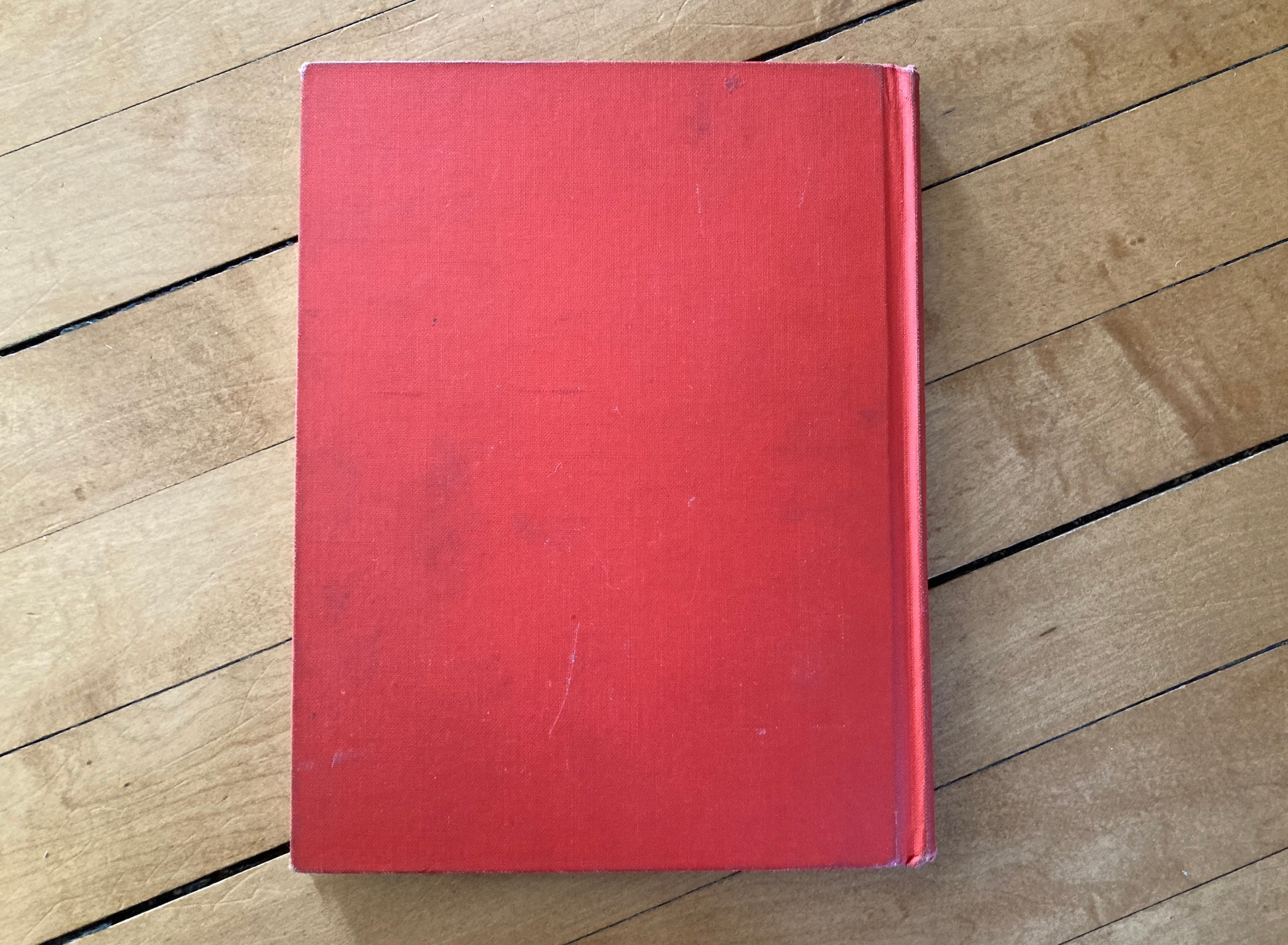 Vintage Children's Book - Cyclone Goes a Viking A Story of Norway by ...
