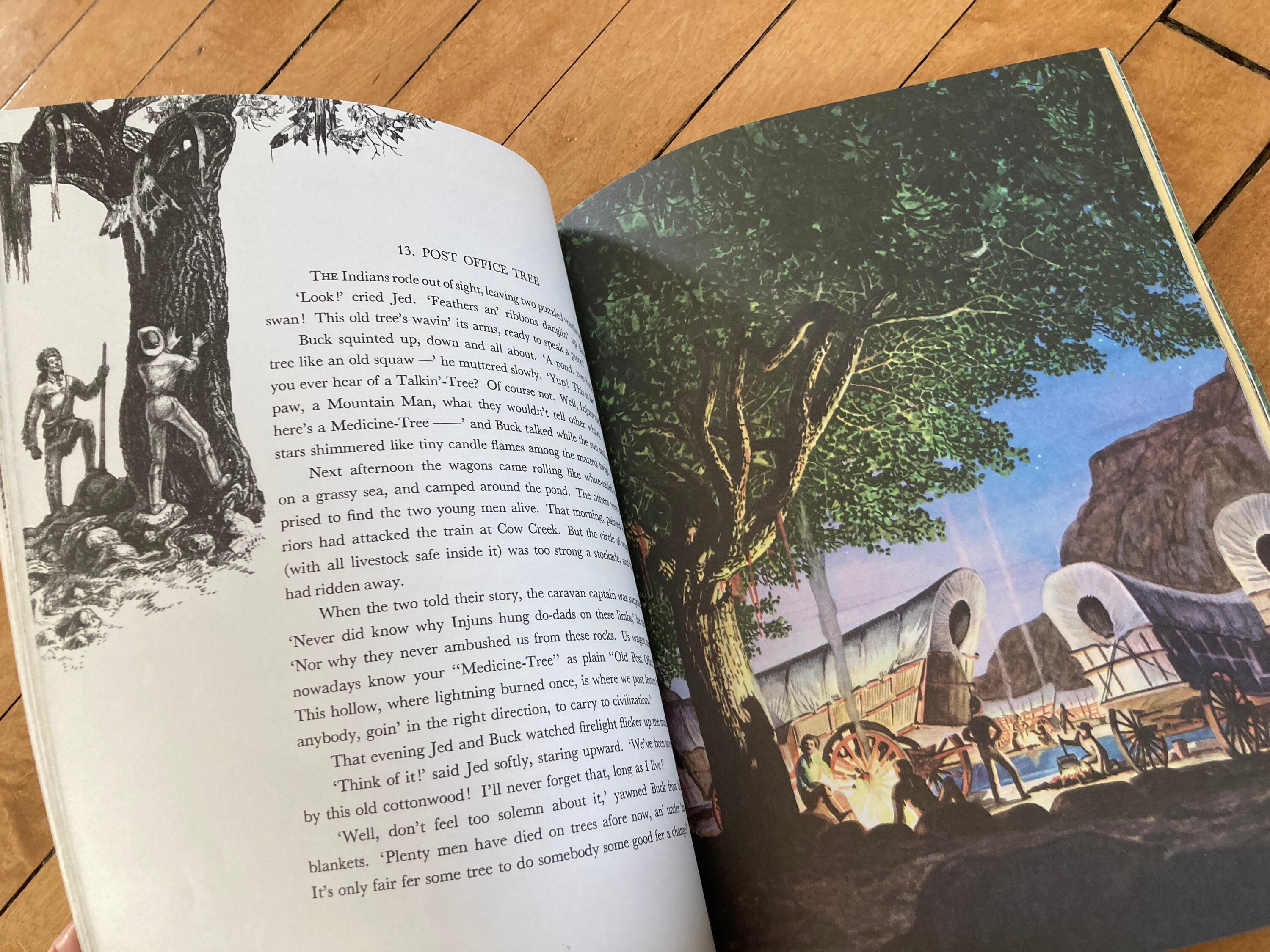 Vintage Children's Book Tree in the Trail by Holling - Etsy