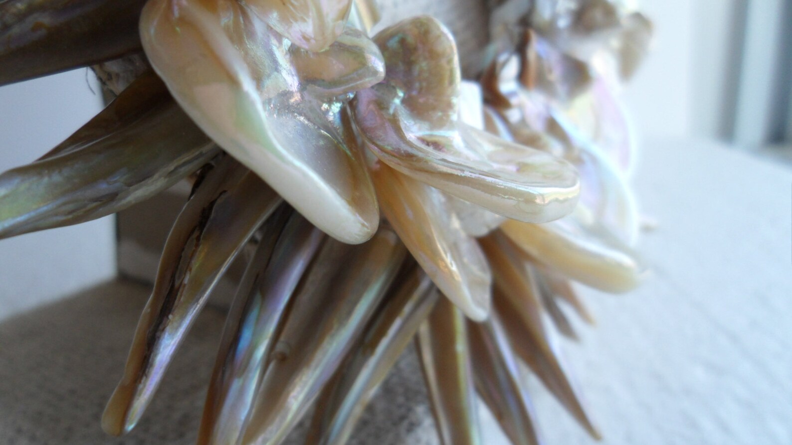 Natural Shell Pearl Necklace Mother of Pearl Statement - Etsy