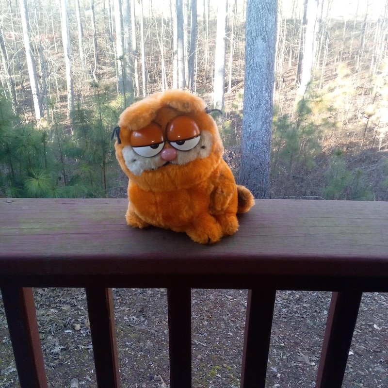 Vintage Garfield Plushies - Etsy