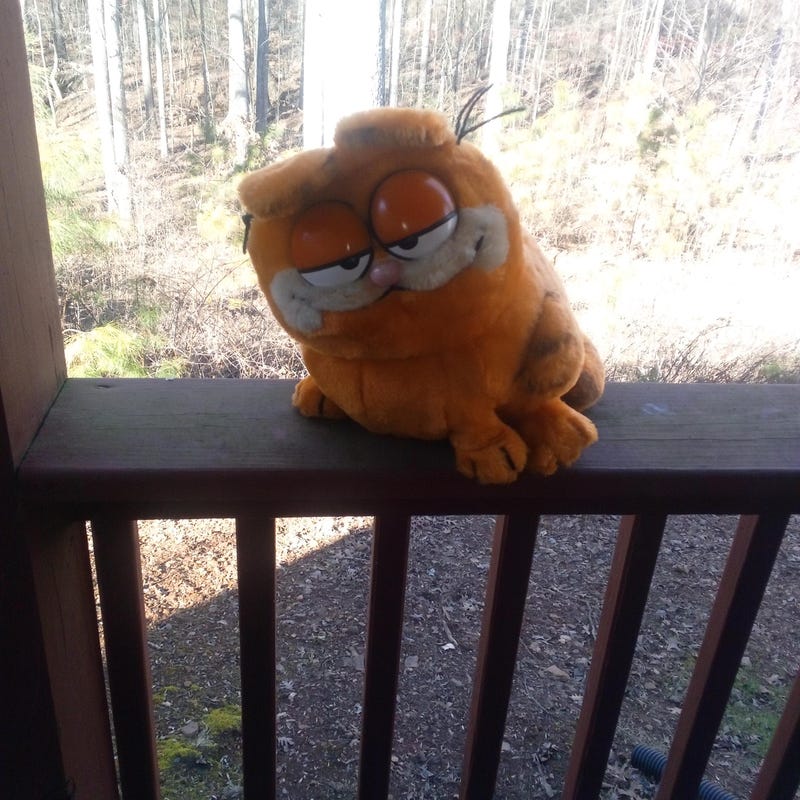Vintage Garfield Plush 1981 - Etsy