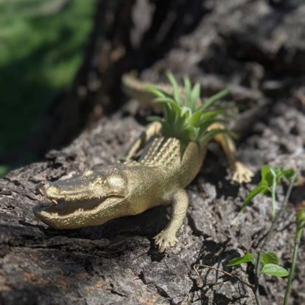 Alligator Planter - Etsy