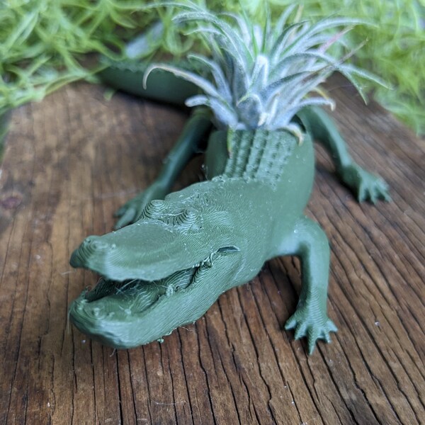 Alligator Planter - Etsy
