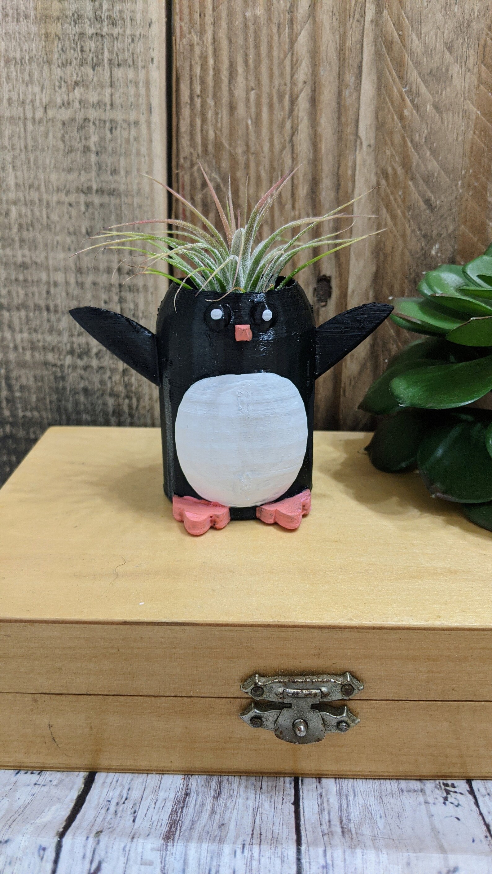 Small Chubby Penguin Planter for Indoor Gardening Air Plant - Etsy