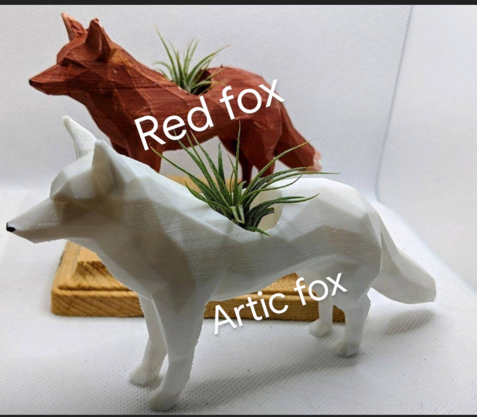 Cute Fox Planter, for Indoor Gardening for Air Plants, Red Fox or ...