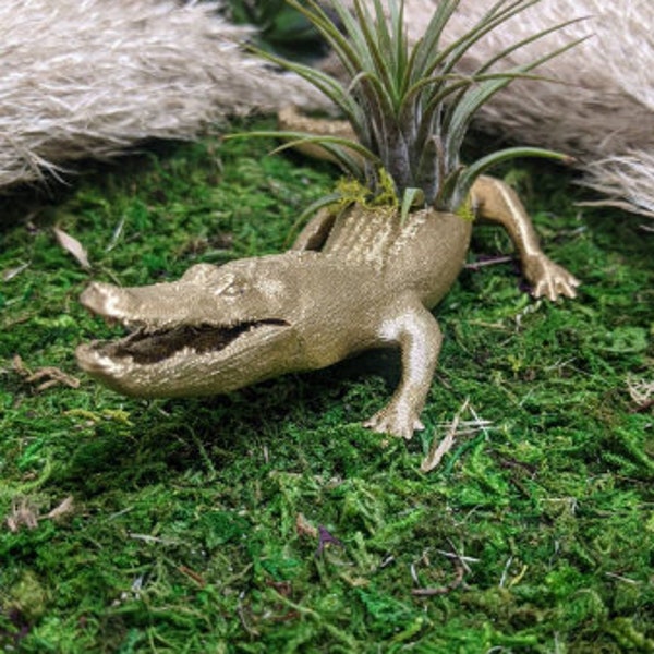 Alligator Planter - Etsy